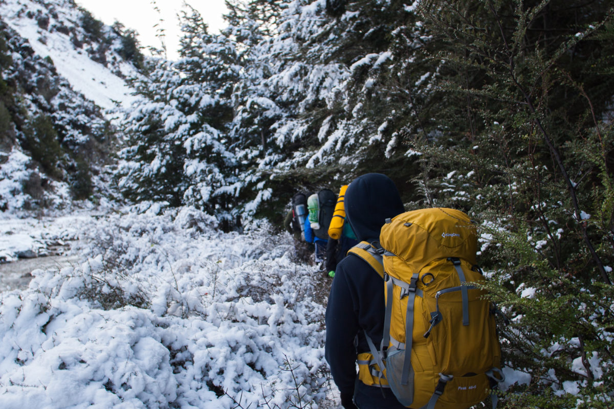 Crooked Spur Hut | Te Kahui Kaupeka - Adventures from the South