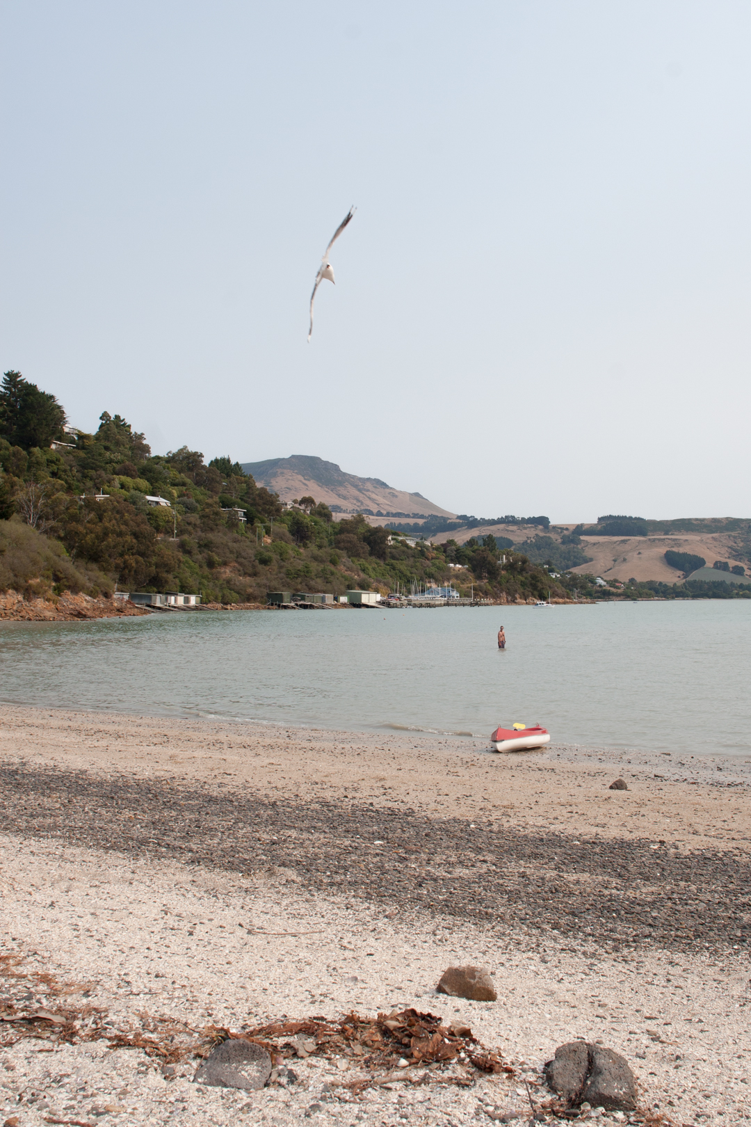 Hays Bay | Banks Peninsula - Adventures from the South