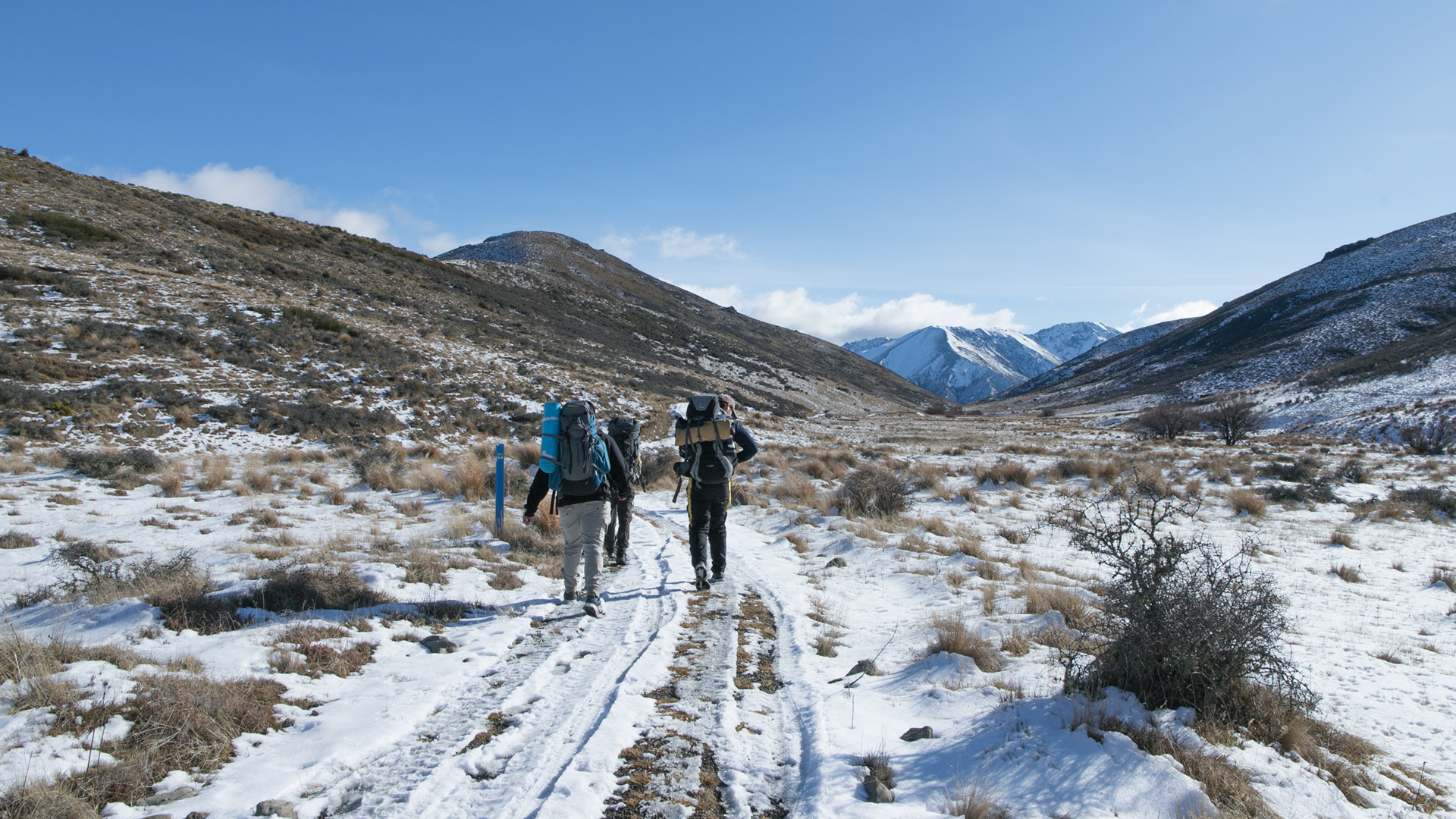 Scotties Hut | St James Conservation Area - Adventures from the South