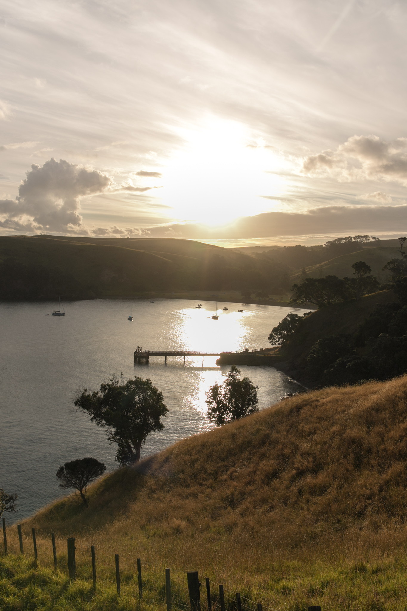 Home Bay | Motutapu - Adventures from the South