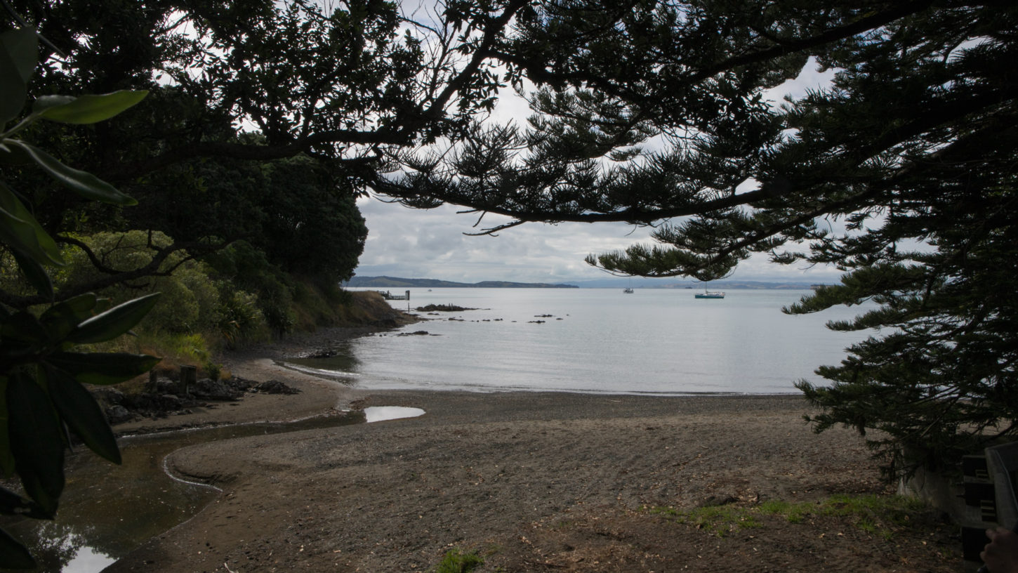 Home Bay | Motutapu - Adventures from the South