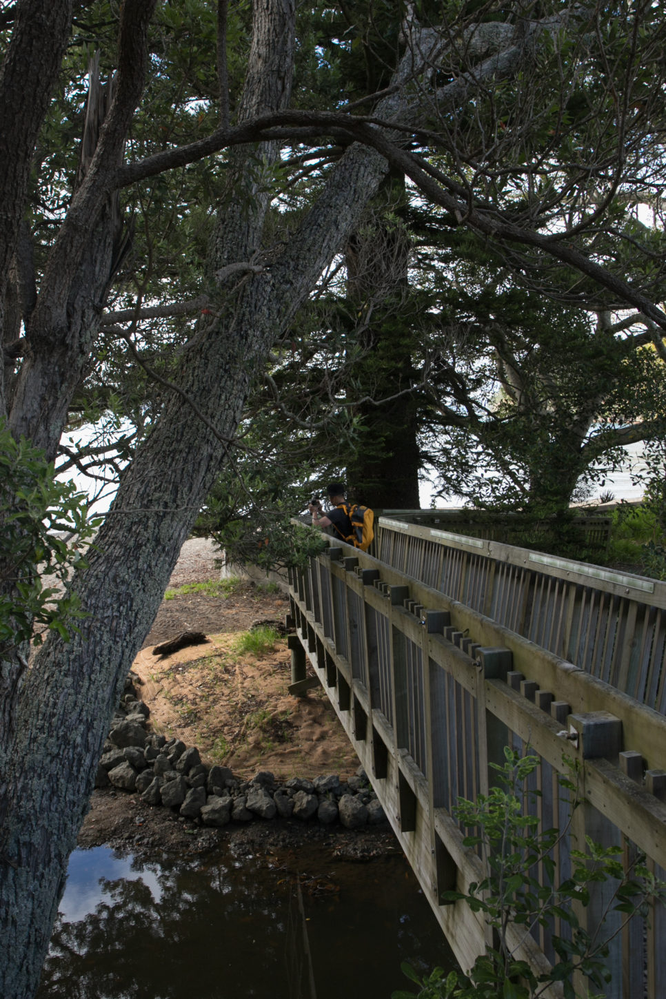 Home Bay | Motutapu - Adventures from the South