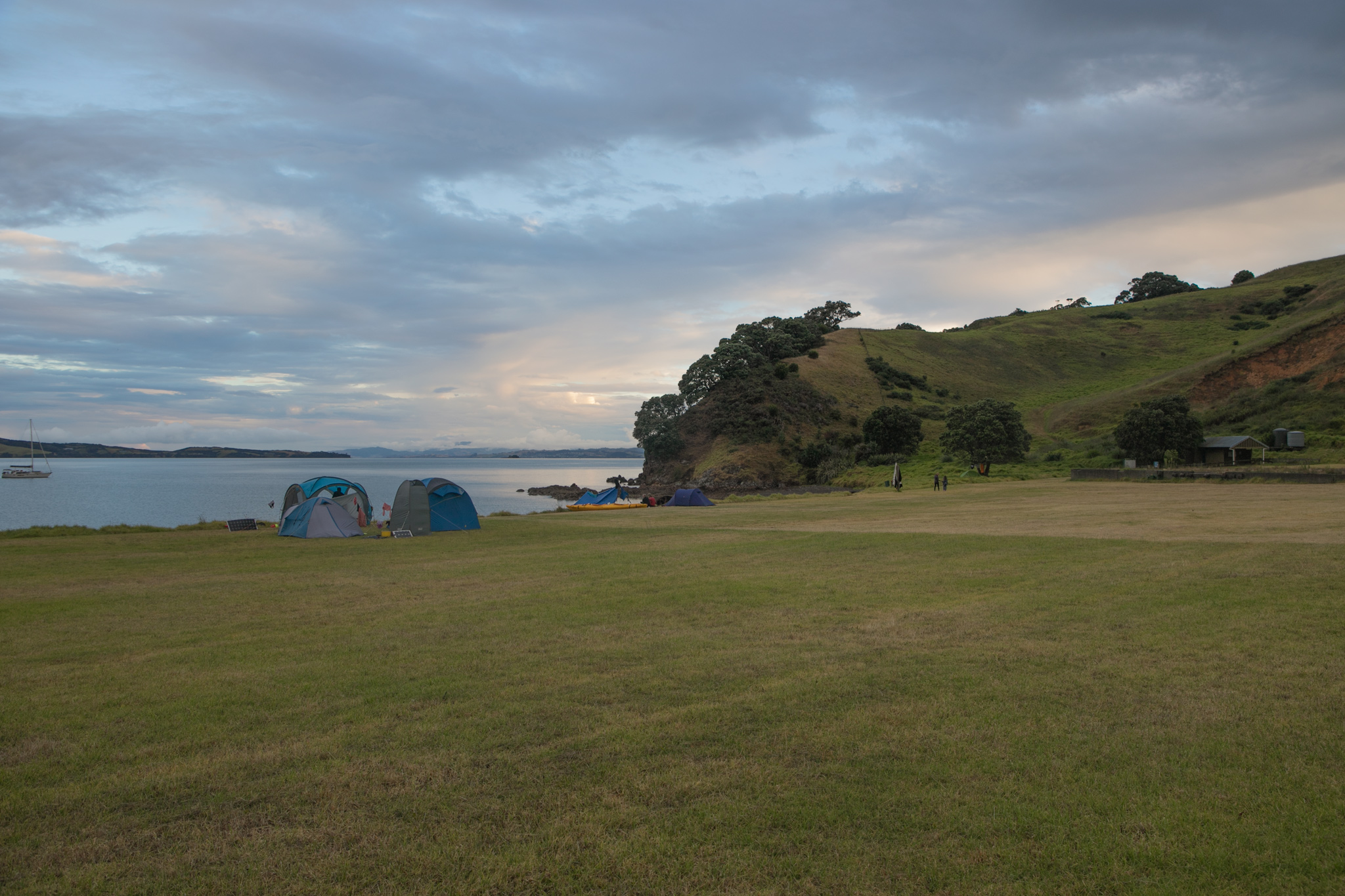 Home Bay | Motutapu - Adventures from the South