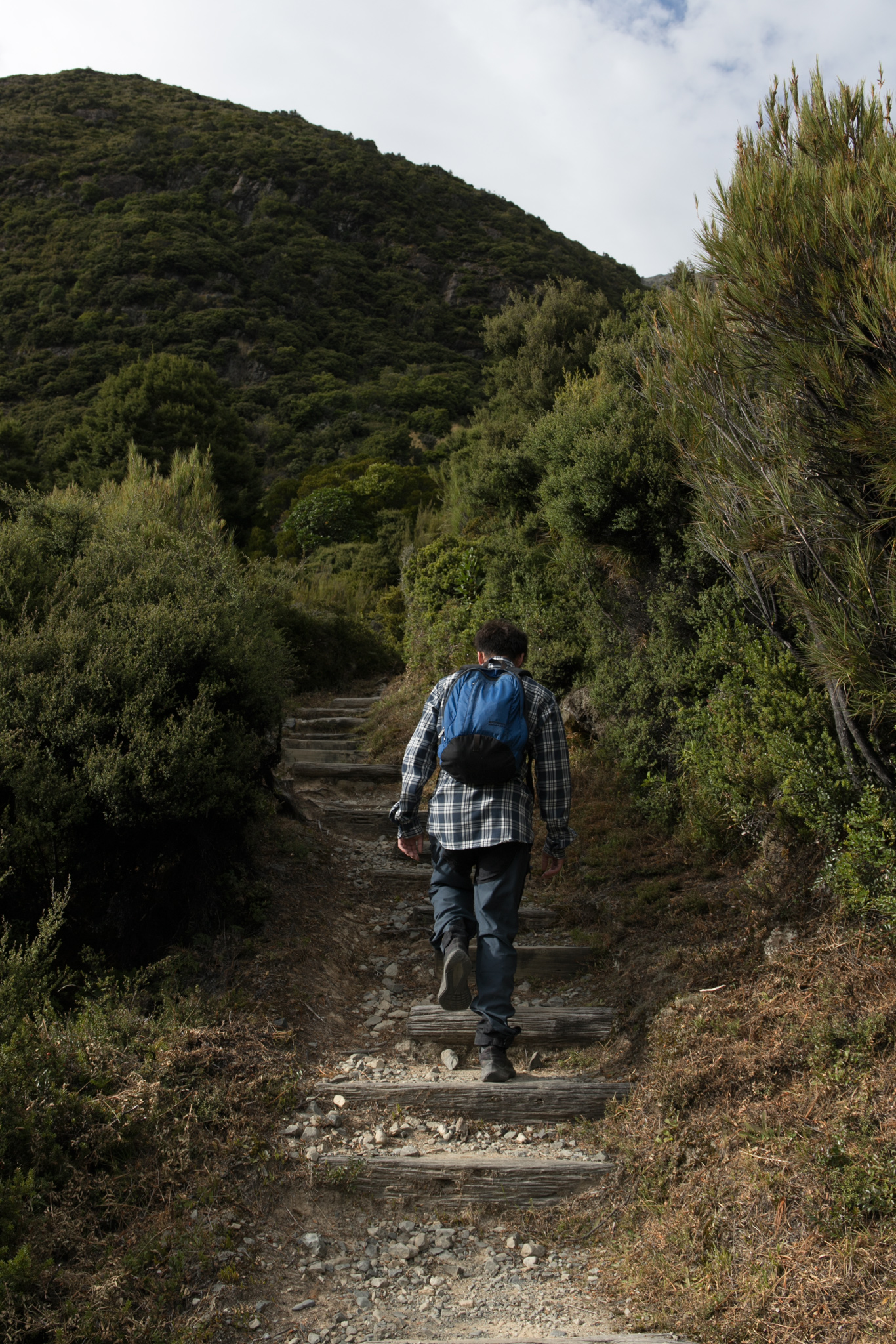 Sebastopol | Mount Cook - Adventures from the South