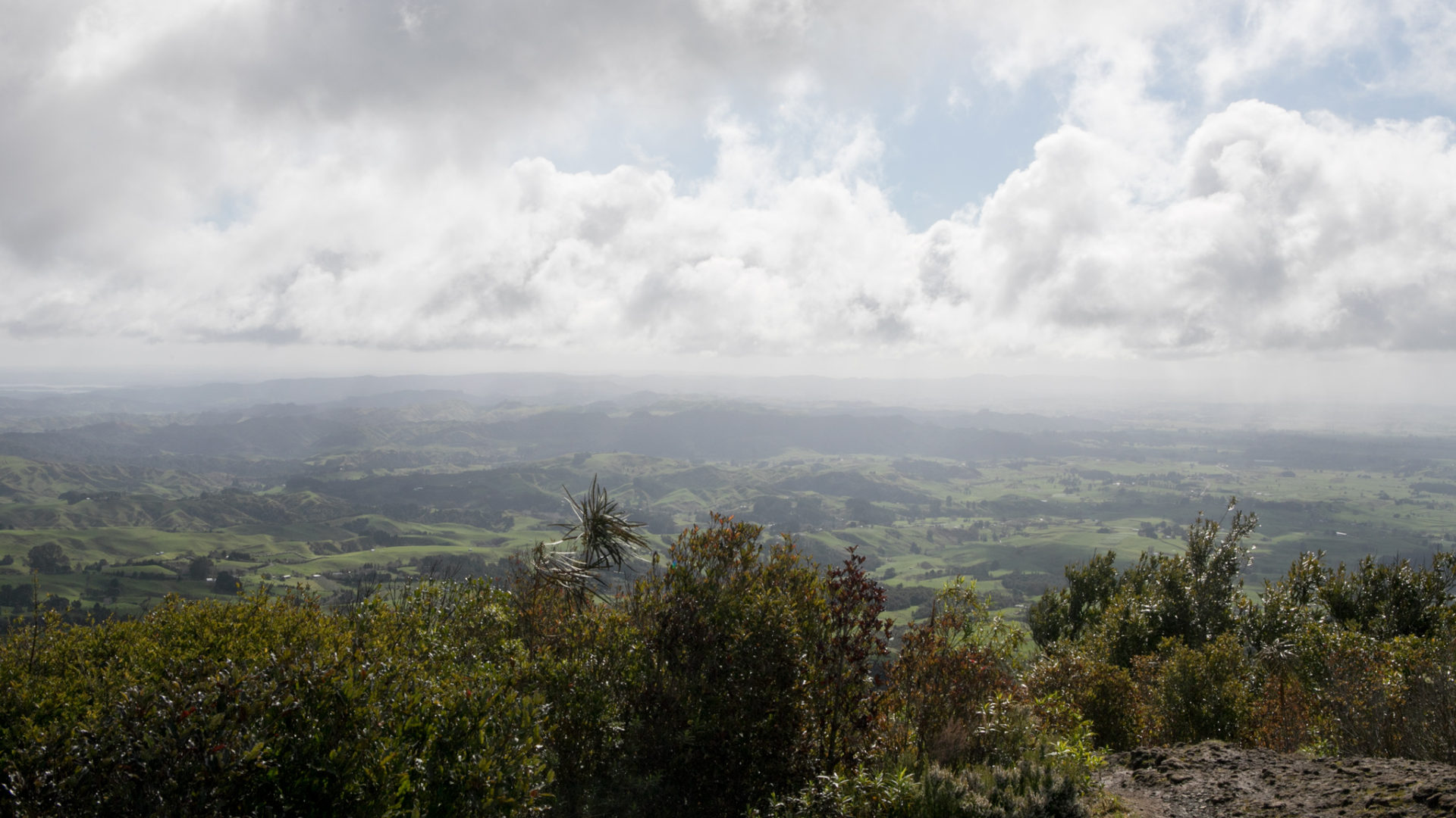 Mount Pirongia | Pironiga Forest Park - Adventures from the South
